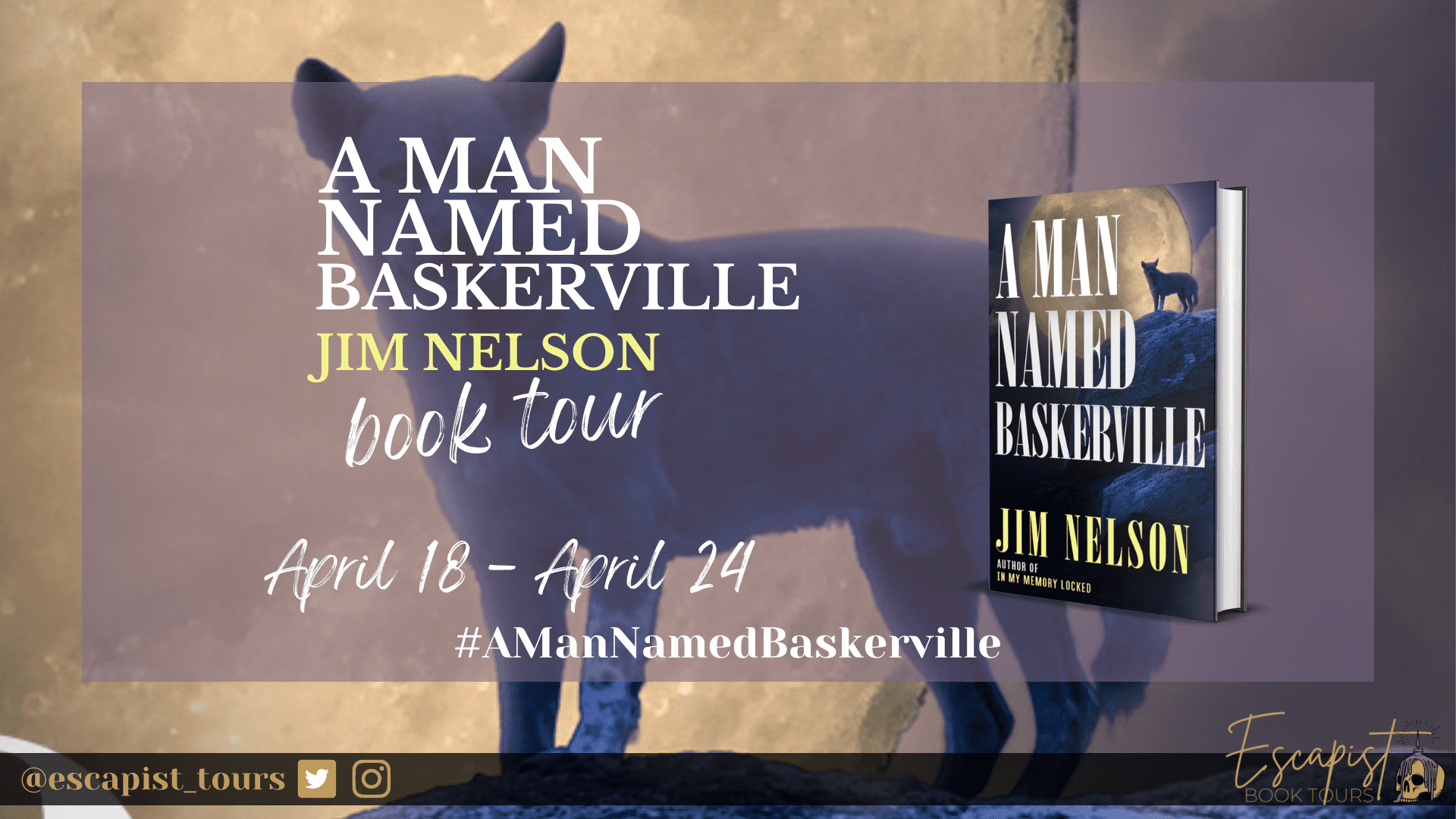 Book Tour and Review: A Man Named Baskerville by Jim Nelson | FanFiAddict