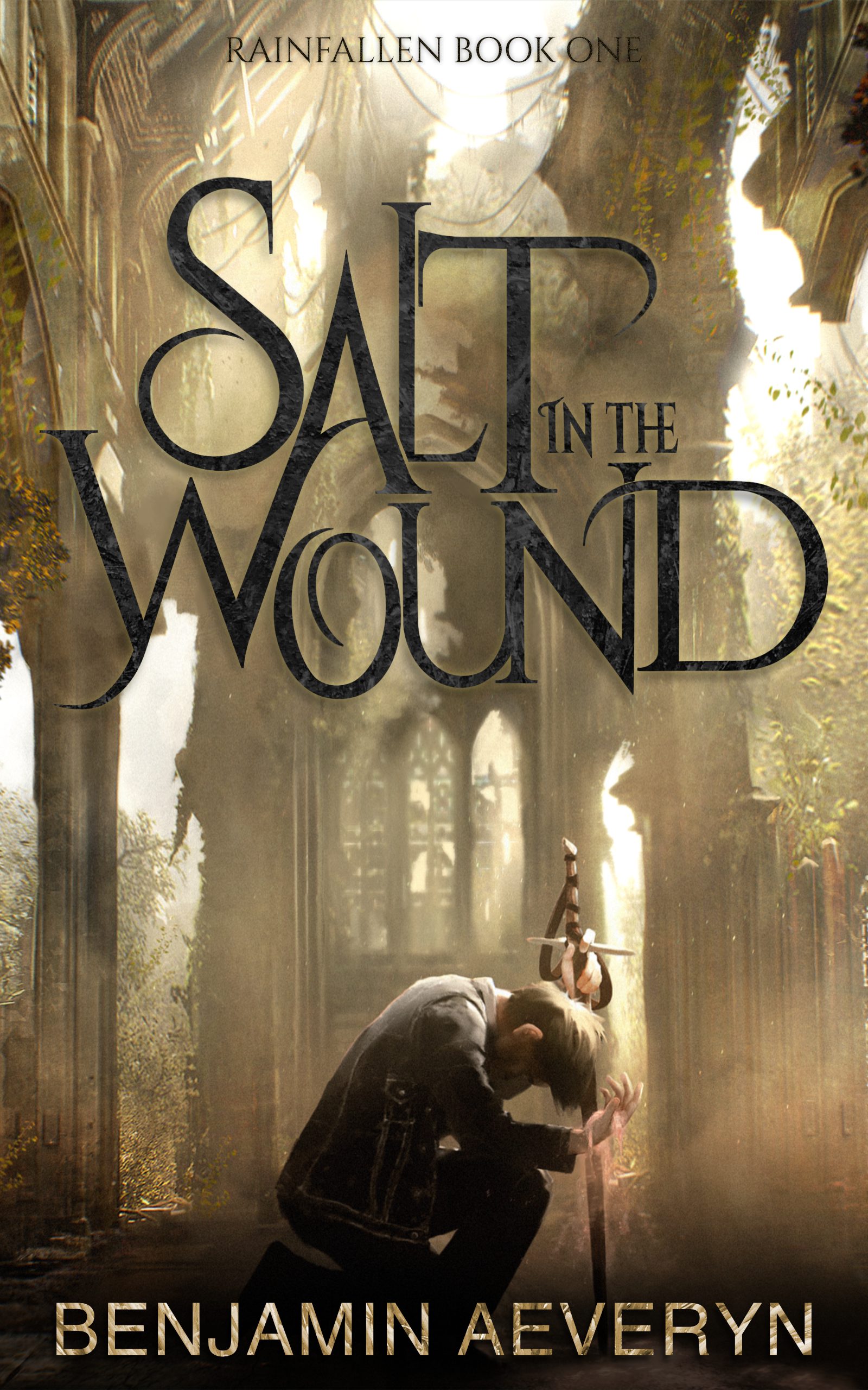 BOOK TOUR: Salt in the Wound (Rainfallen #1) by Benjamin Aeveryn ...